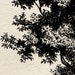 PRINTABLE Tree Sketch Vintage Art Print Neutral Minimalist Digital ...