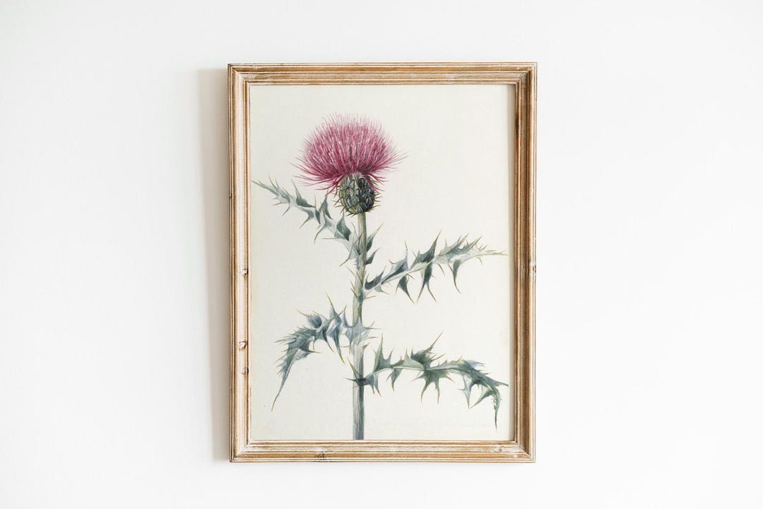 Antique Thistle Watercolor Decor | Botanical Vintage Print | Printable ...