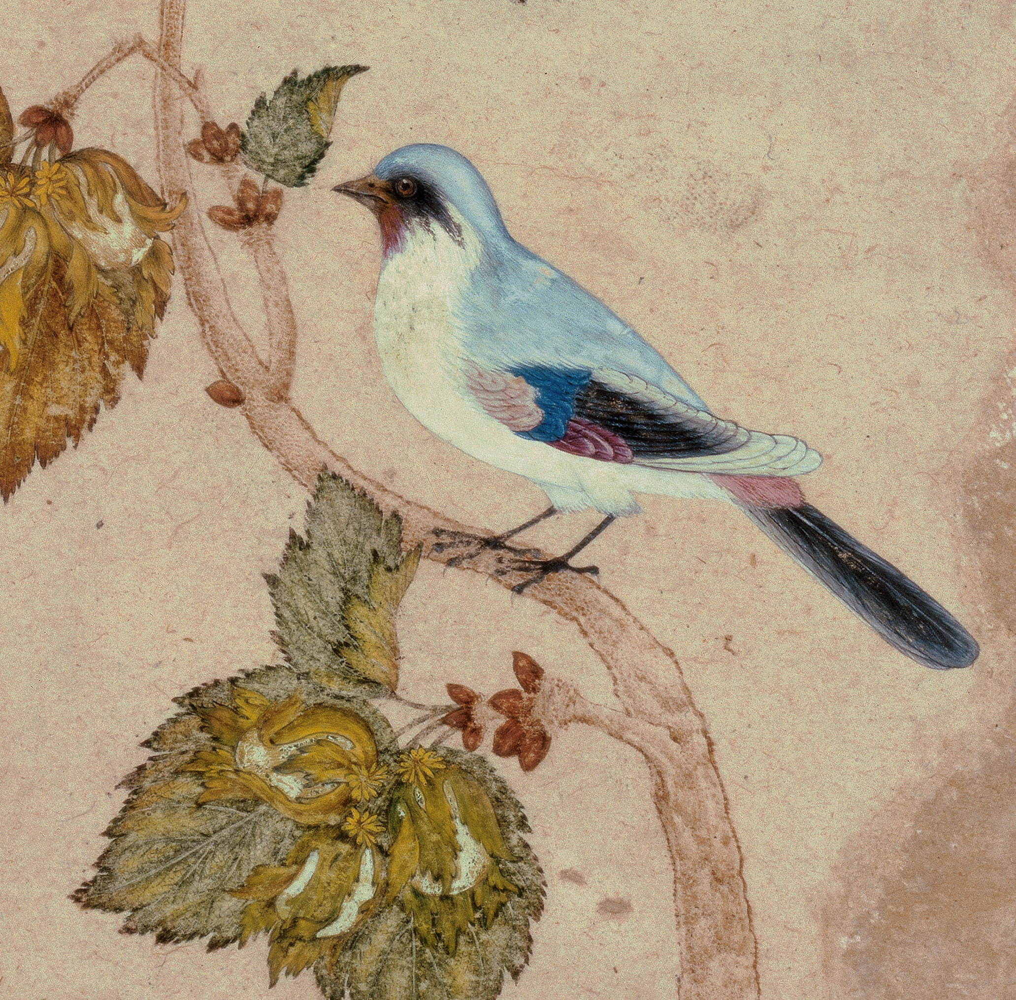 Printable Blue Bird Painting Vintage Still Life Print Country Wall Art ...