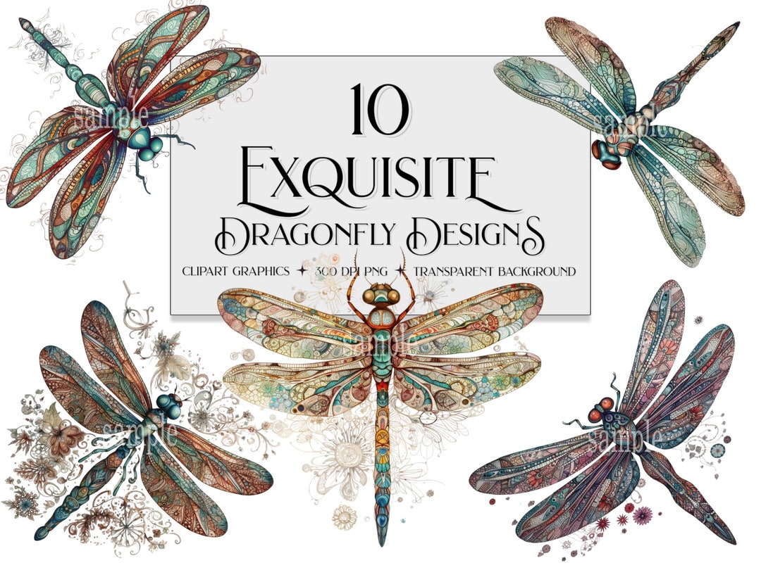 Ornate Dragonfly Clipart, Dragonfly Clipart, Dragonfly Bundle Clipart, Dragonfly PNG, Cute ...