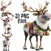 Whimsical Reindeer Clipart: Festive Christmas PNG (digital Download) - Etsy