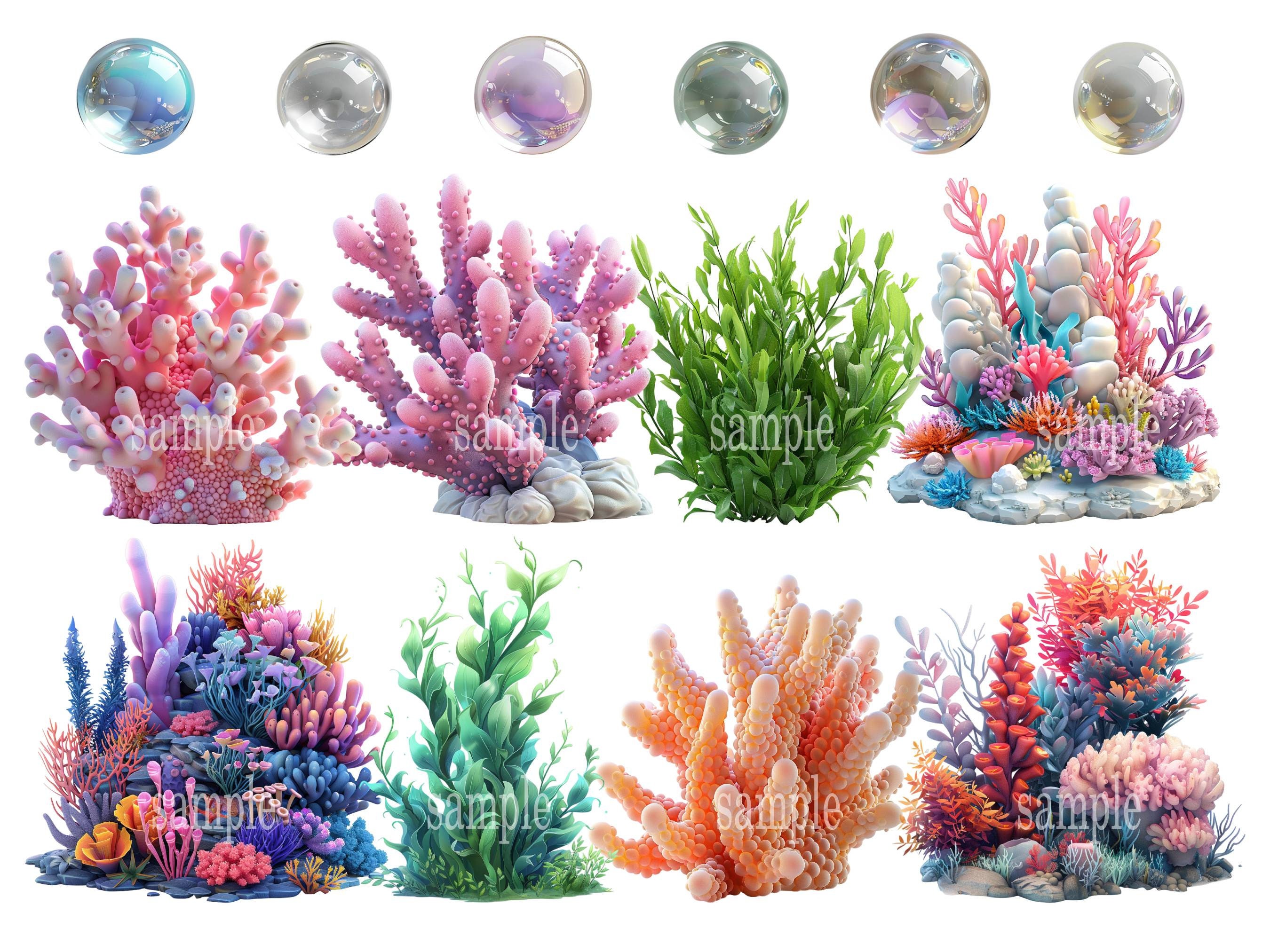 Ocean Animal Clipart: Sea Turtle, Dolphin, Octopus PNG (56 Designs) - Etsy