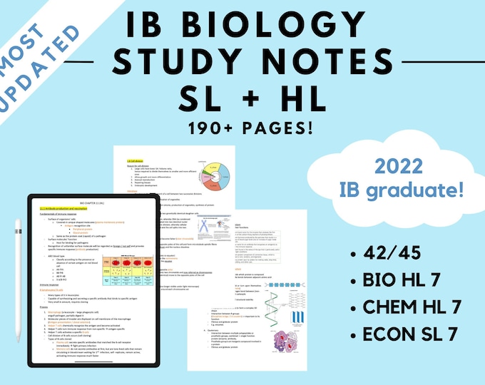 IB SL/HL Detailed History Notes Paper 2 3 International Baccalaureate ...