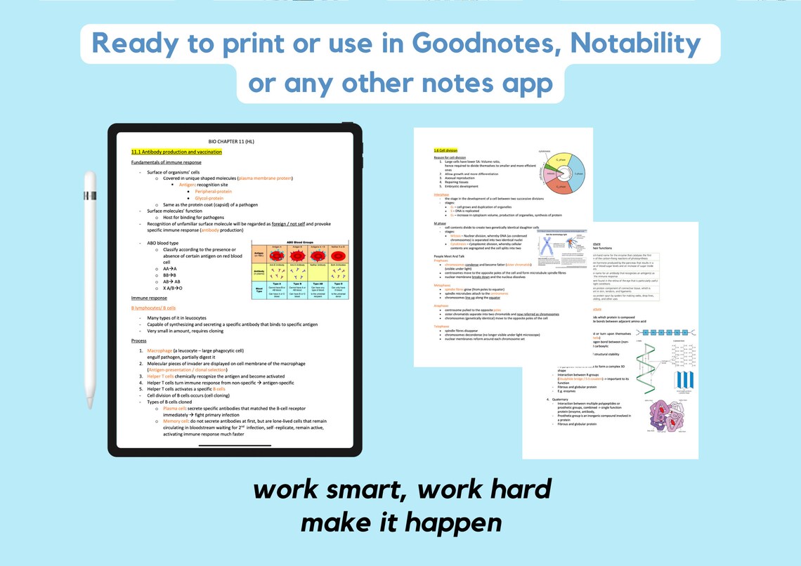 IB Biology SL/HL Study Notes - Etsy