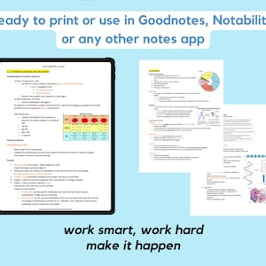 IB Biology SL/HL Study Notes - Etsy