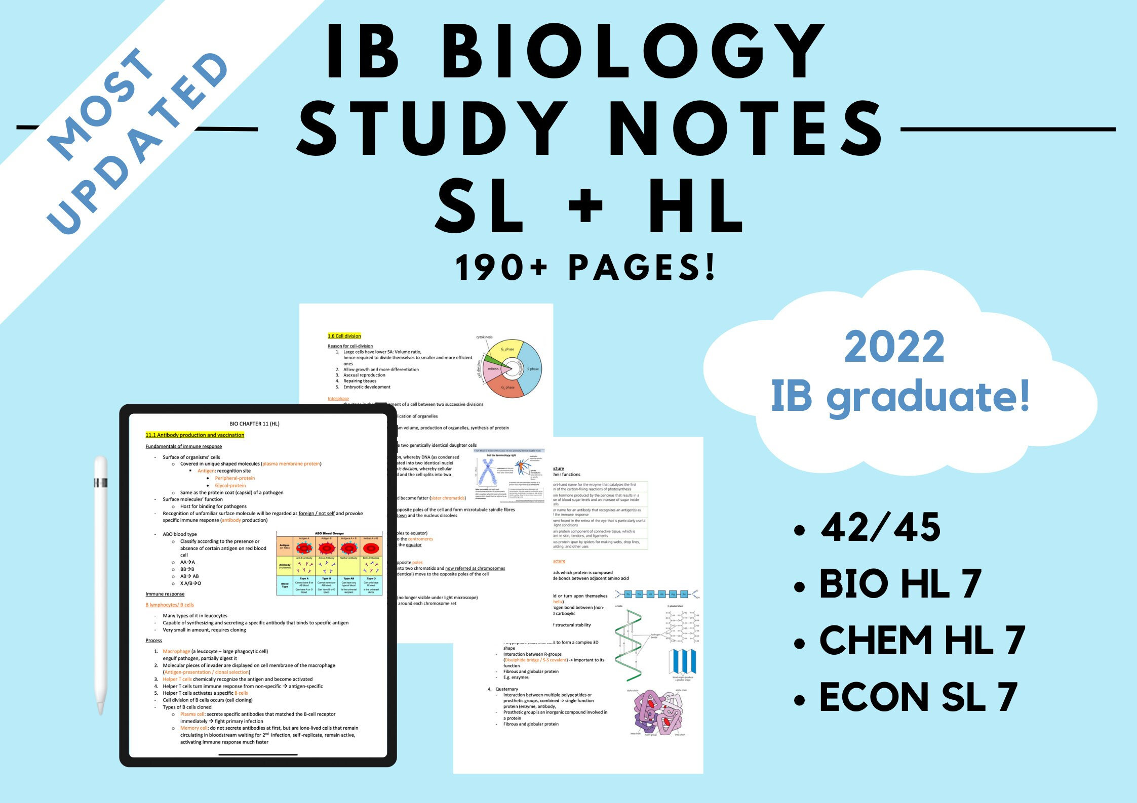 IB Biology SL/HL Study Notes - Etsy