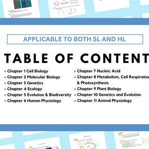 IB Biology SL/HL Study Notes - Etsy