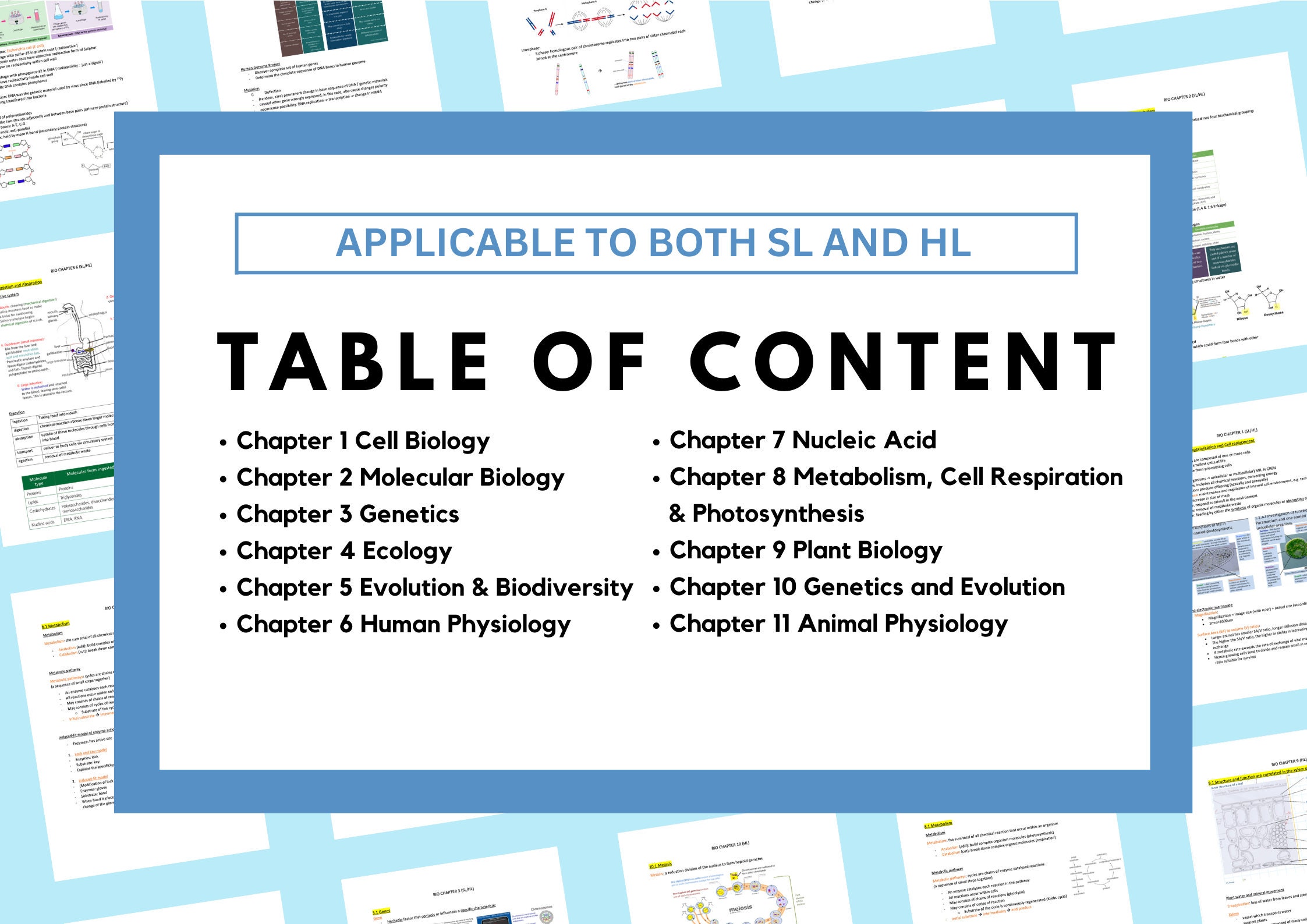 IB Biology SL/HL Study Notes - Etsy