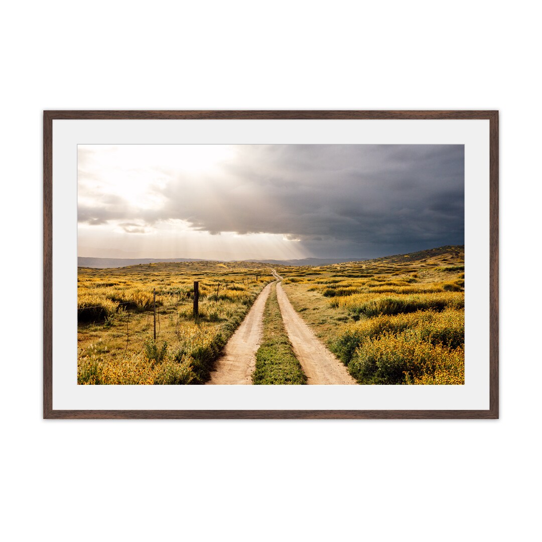 Large-scale Dramatic Fine Art Photo of Dirt Road at Sunrise in Carrizo ...
