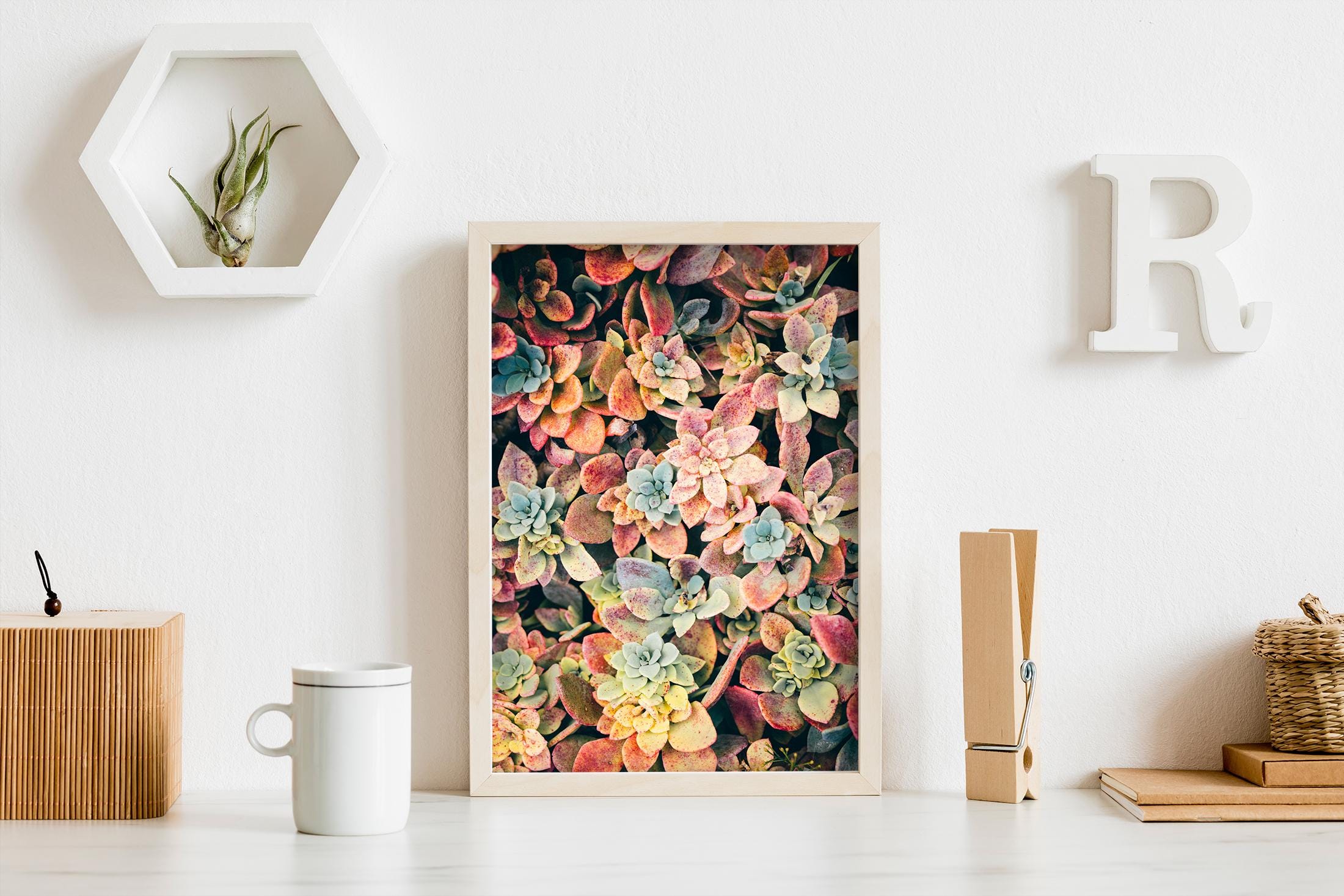 Colorful Succulent Digital Download Photograph for Diy Printing Home ...