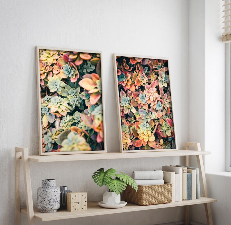 Colorful Succulent Digital Download Photograph for Diy Printing Home ...