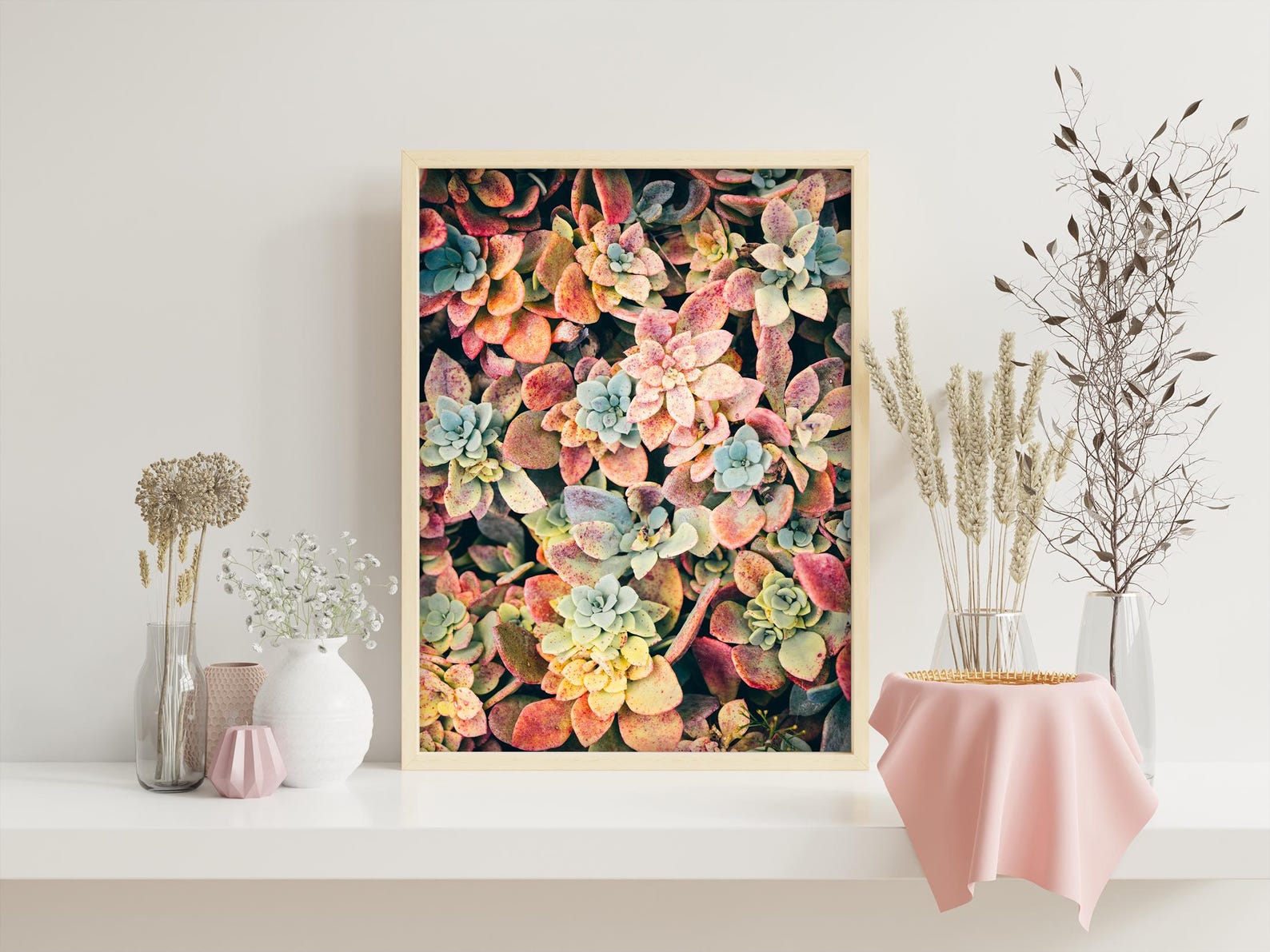 Colorful Succulent Digital Download Photograph for Diy Printing Home ...
