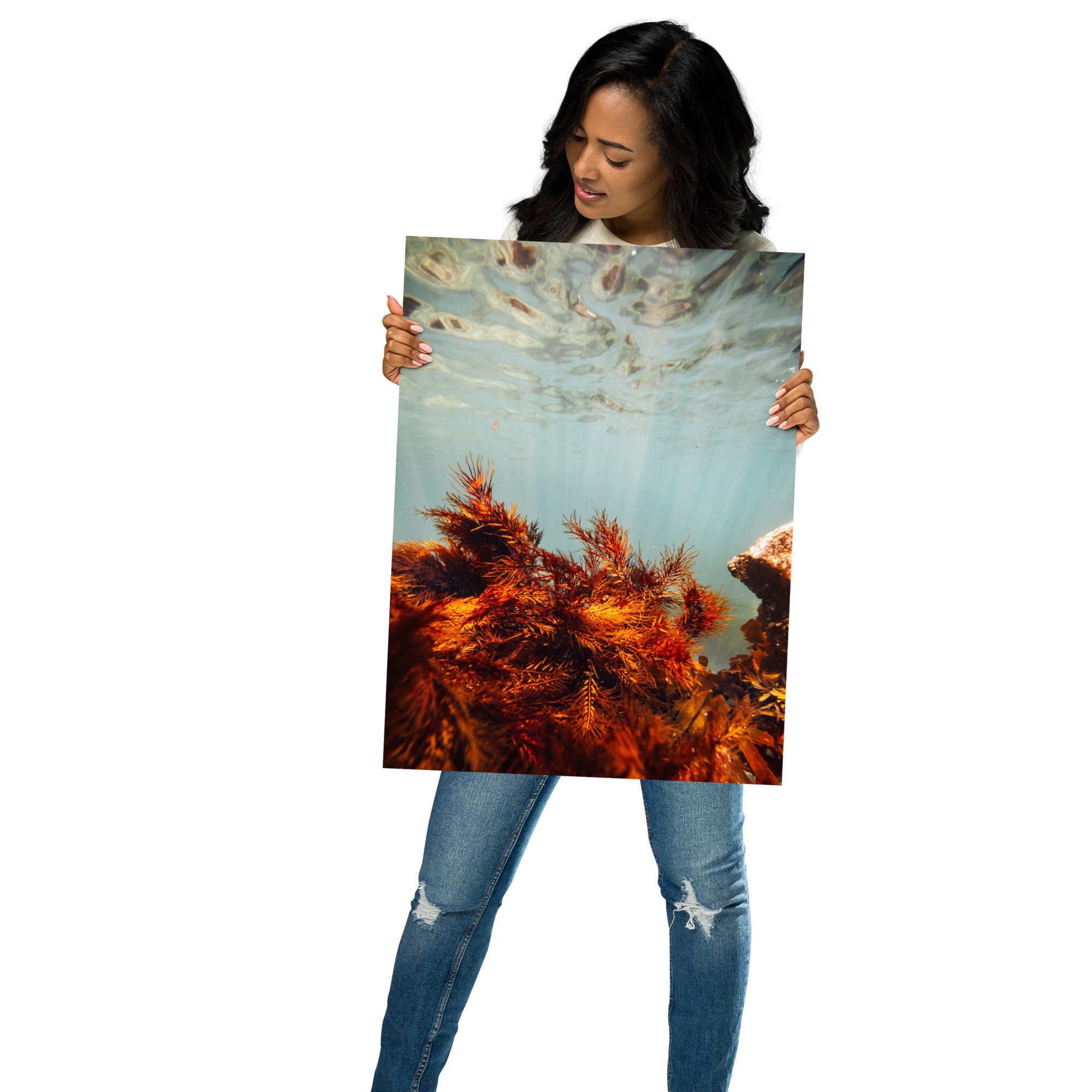 Underwater Landscape Catalina Island Luster Photo Paper Poster. - Etsy