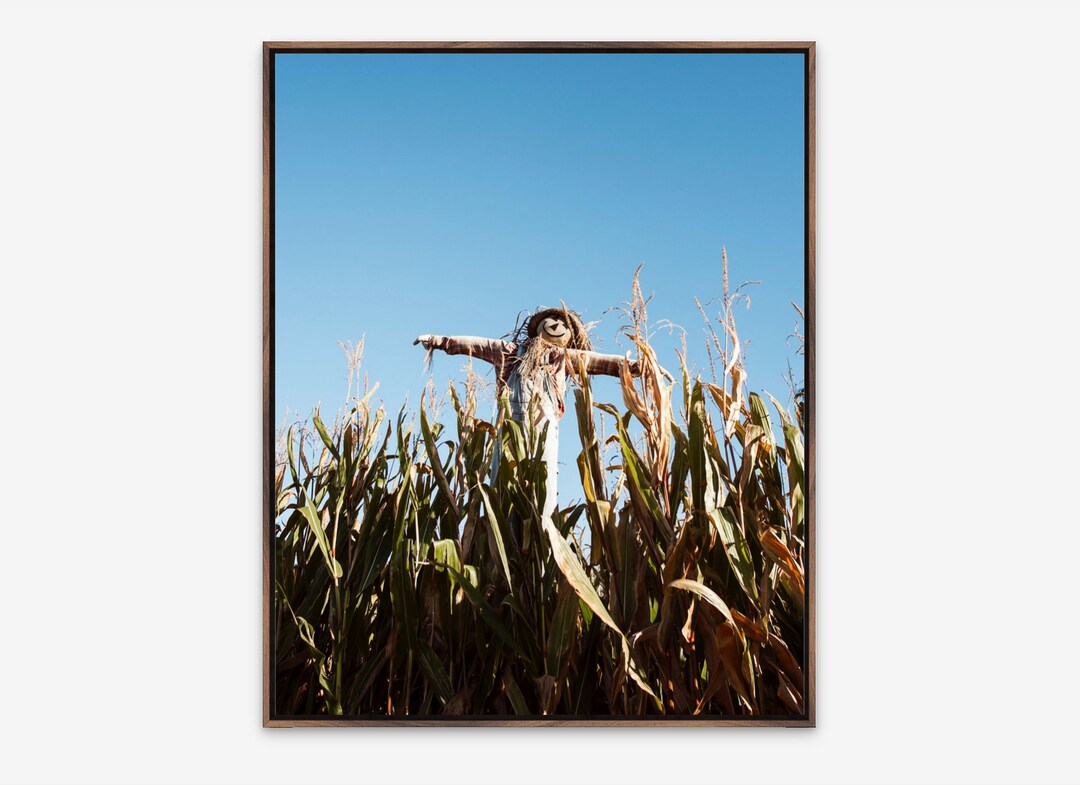 Vertical Fine Art Photograph of a Human Shaped Scare Crow in a Corn ...