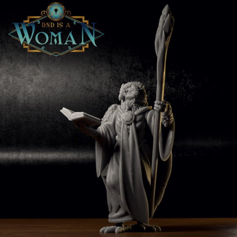 Aarakocra Wizard Aira 28-35mm Hires Resin DND is a Woman - Etsy