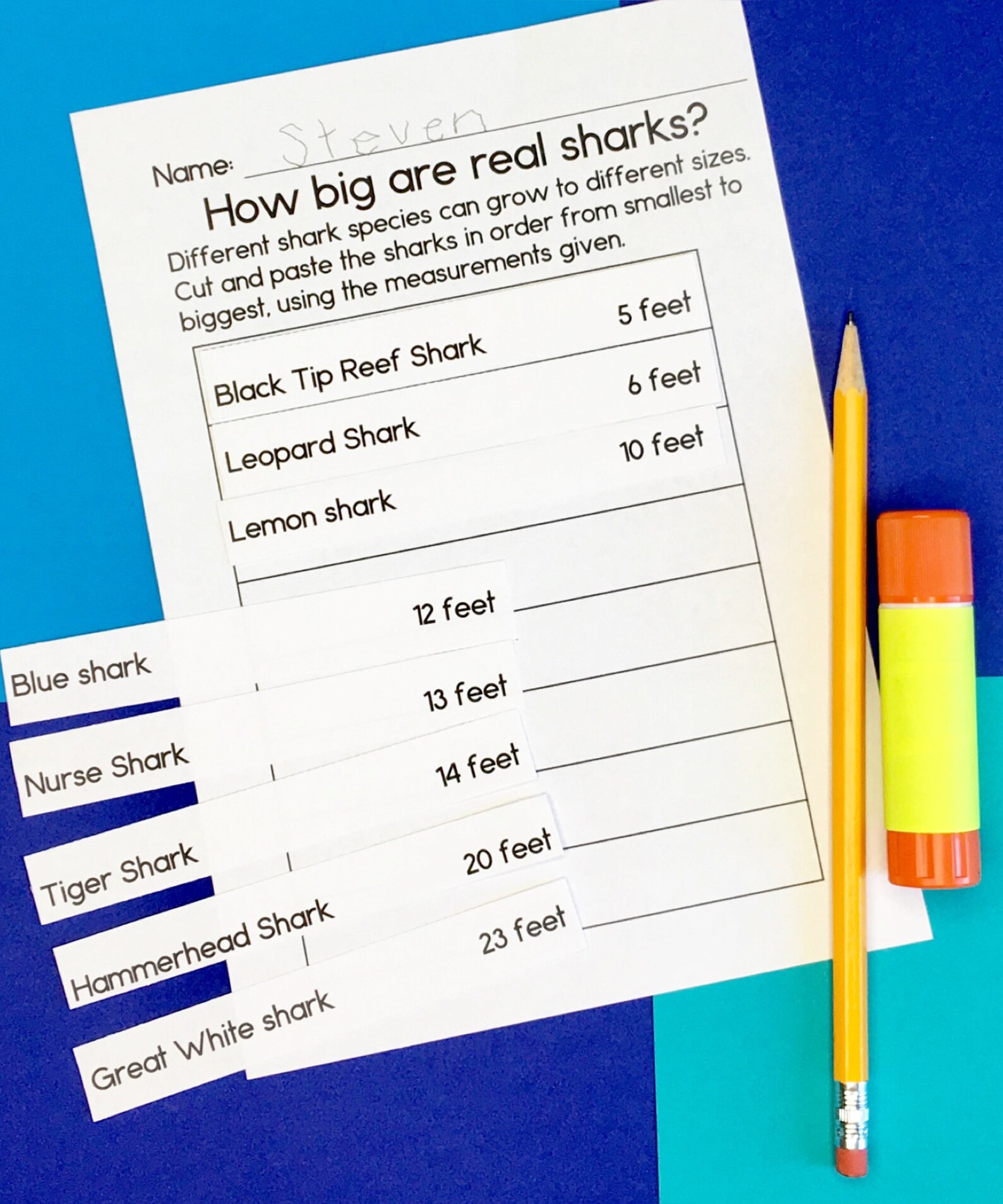 Shark Math With Measurement Graphing Addition and Subtraction - Etsy