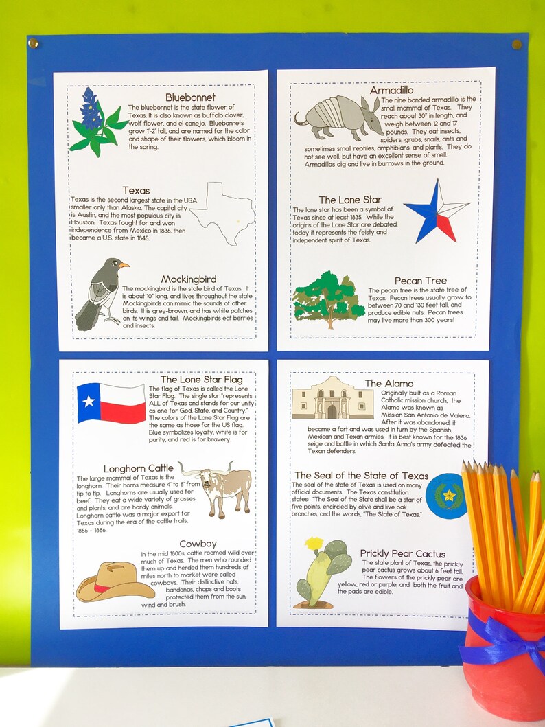 Texas State Symbols Bingo With Symbols of Texas Informational Posters ...