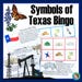 Texas Symbols Bingo Game & State History Posters (printable) - Etsy