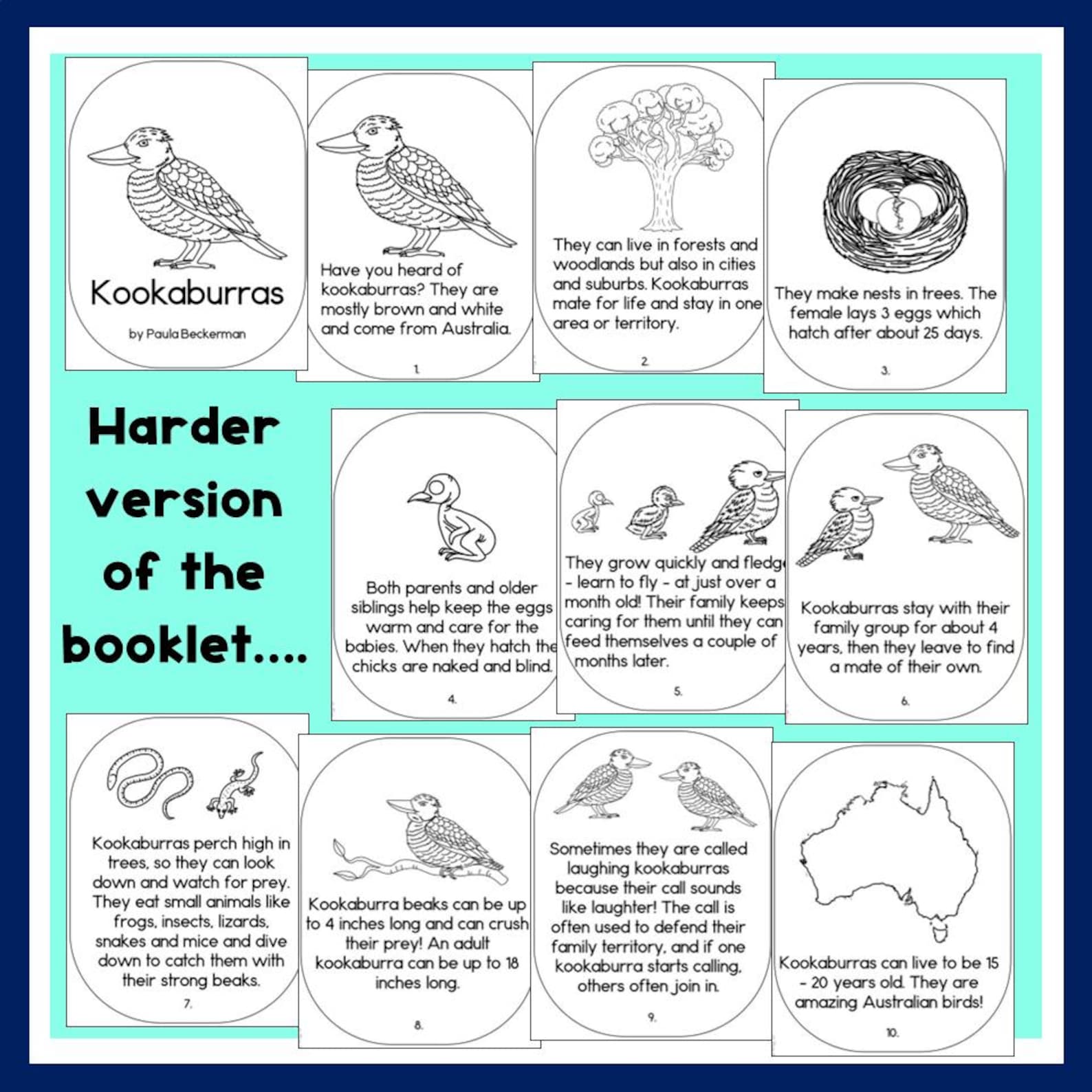 Kookaburra Book Craft and Reading Comprehension - Etsy