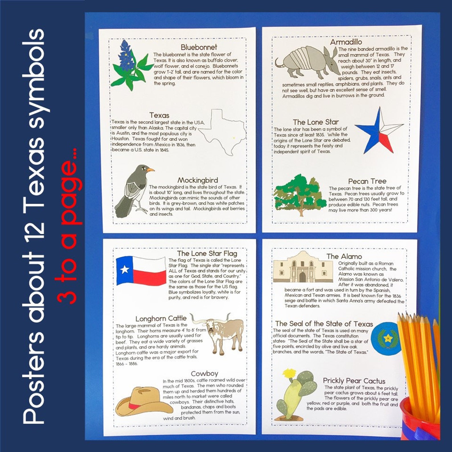 Texas Symbols Bingo Game & State History Posters (printable) - Etsy
