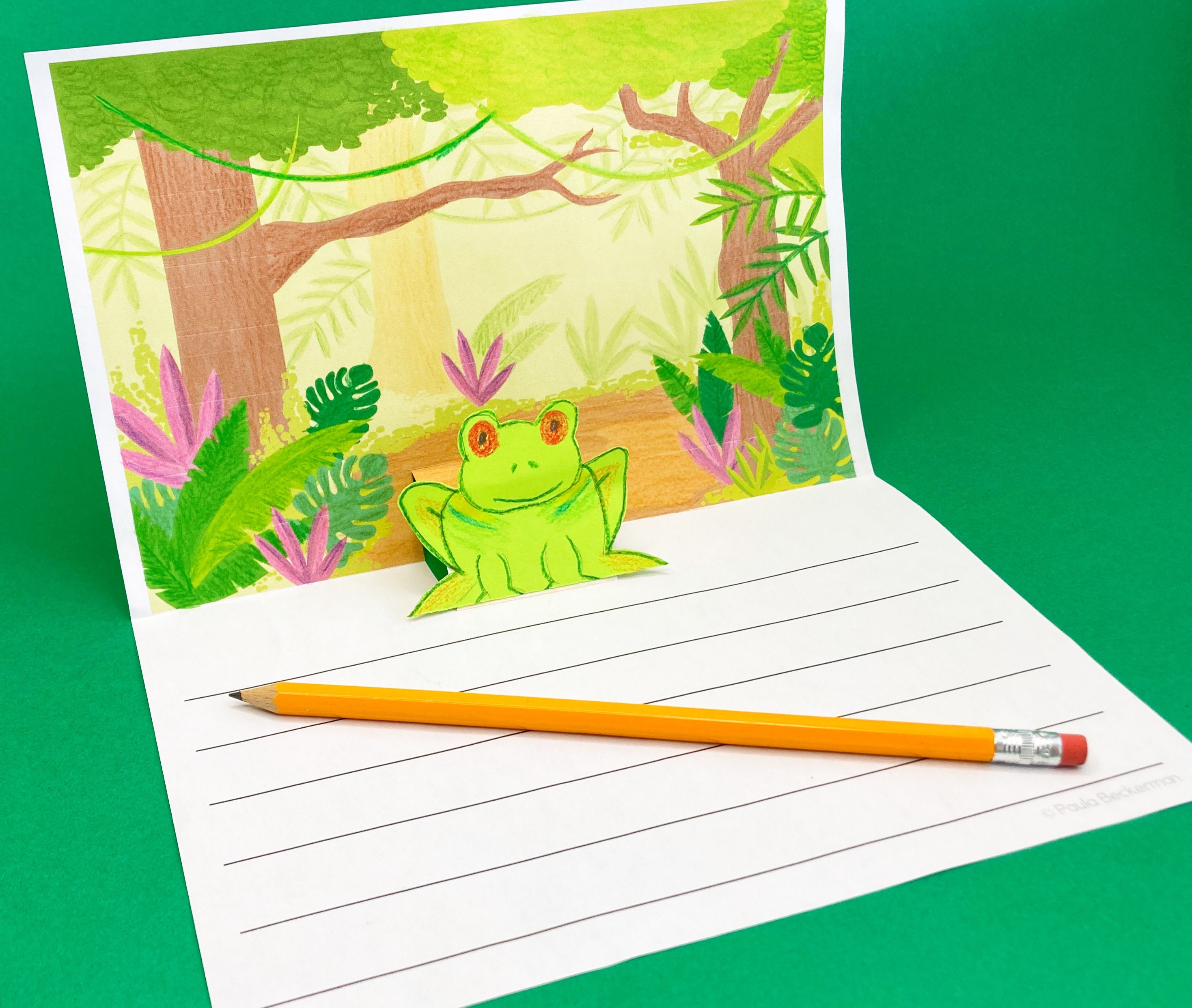 Animal Research Project With Habitat Diorama Pop up Report - Etsy