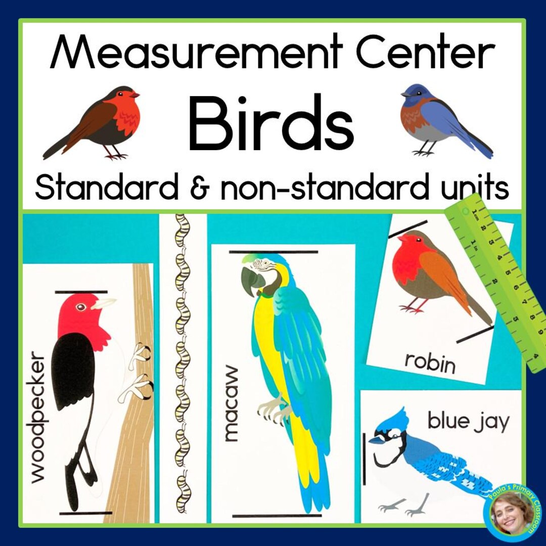 Birds Standard and Non Standard Measurement Activity & Sorting by Size ...
