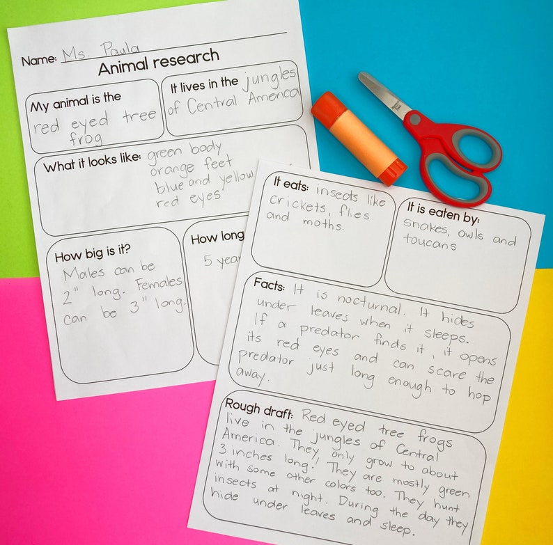 Animal Research Project With Habitat Diorama Pop up Report - Etsy