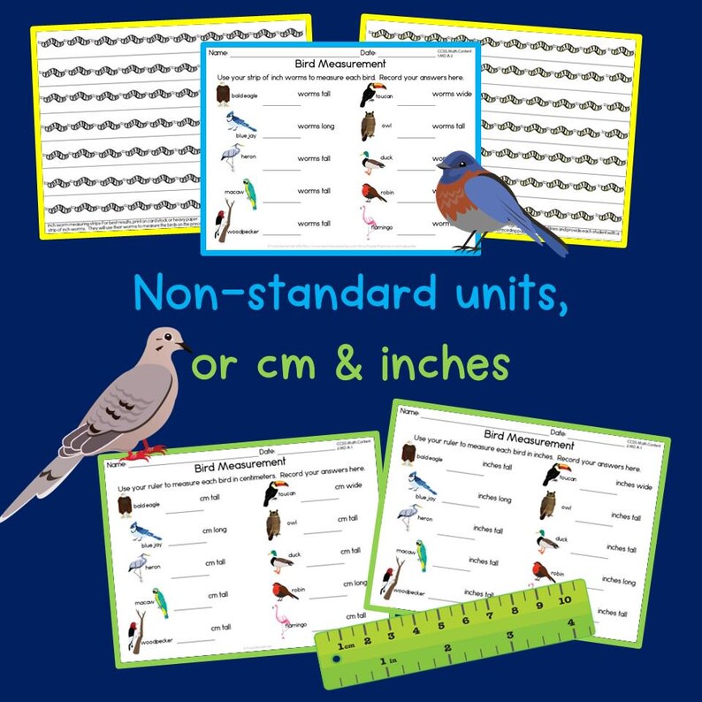 Birds Standard and Non Standard Measurement Activity & Sorting by Size ...