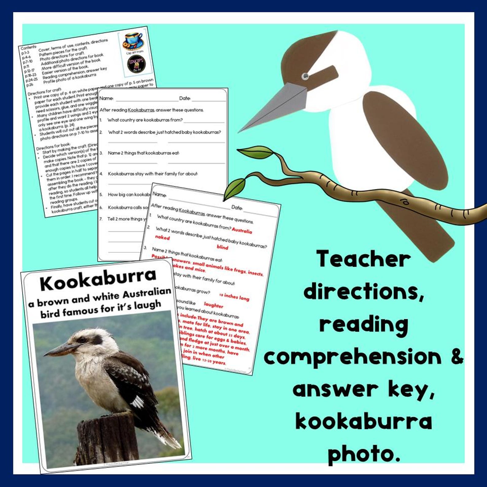 Kookaburra Book Craft and Reading Comprehension - Etsy
