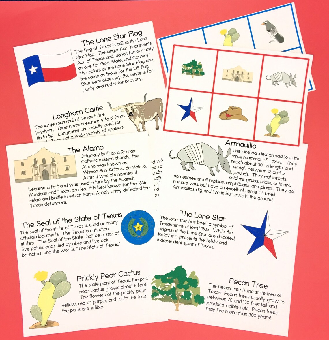 Texas State Symbols Bingo With Symbols of Texas Informational Posters ...