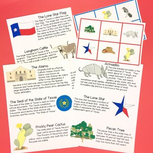 Texas State Symbols Bingo With Symbols of Texas Informational Posters ...