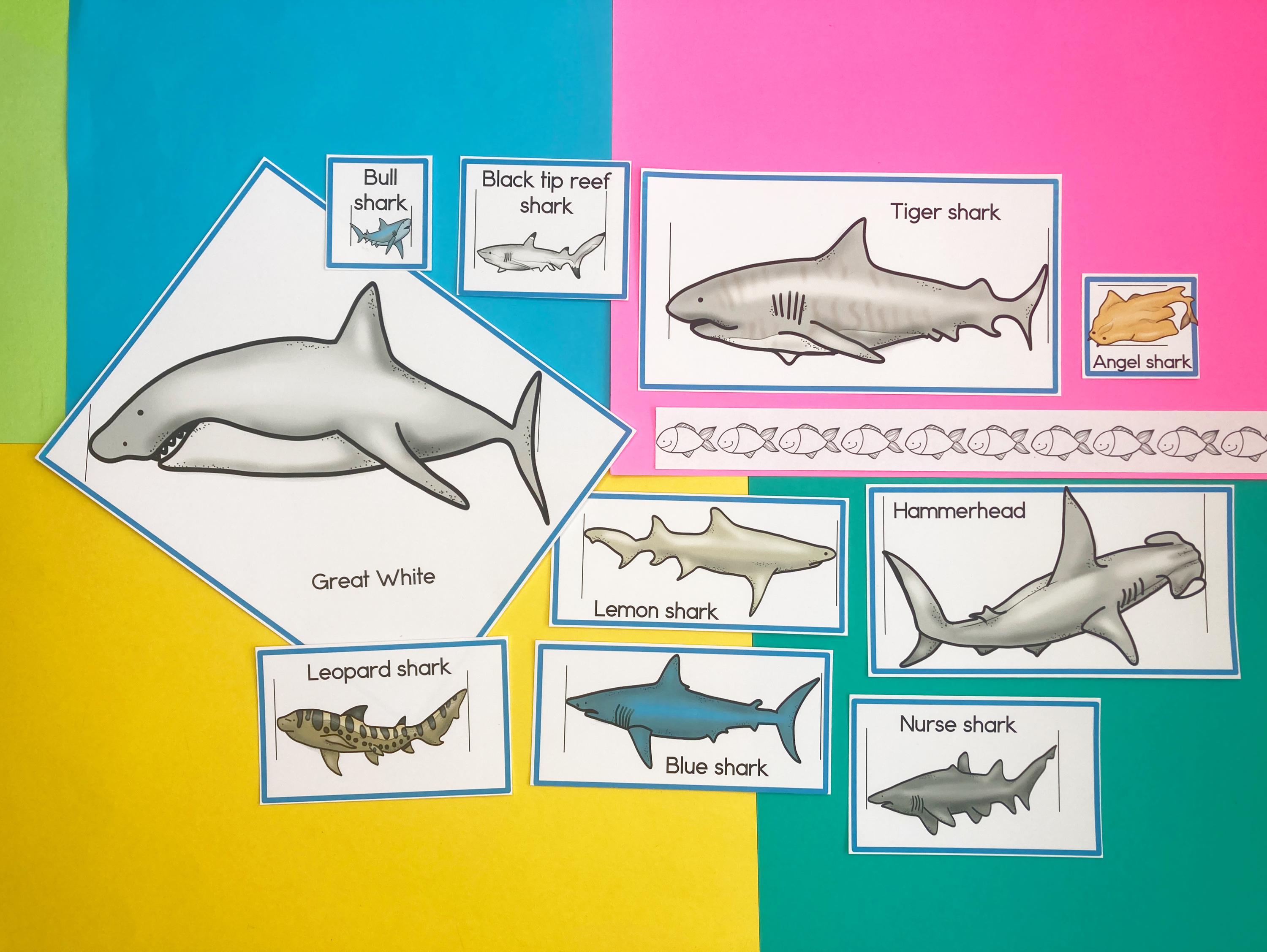 Shark Week Math Activities Addition & Subtraction Measurement Posters ...