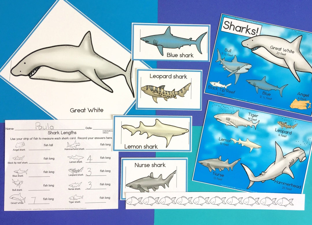 Shark Math With Measurement Graphing Addition and Subtraction - Etsy