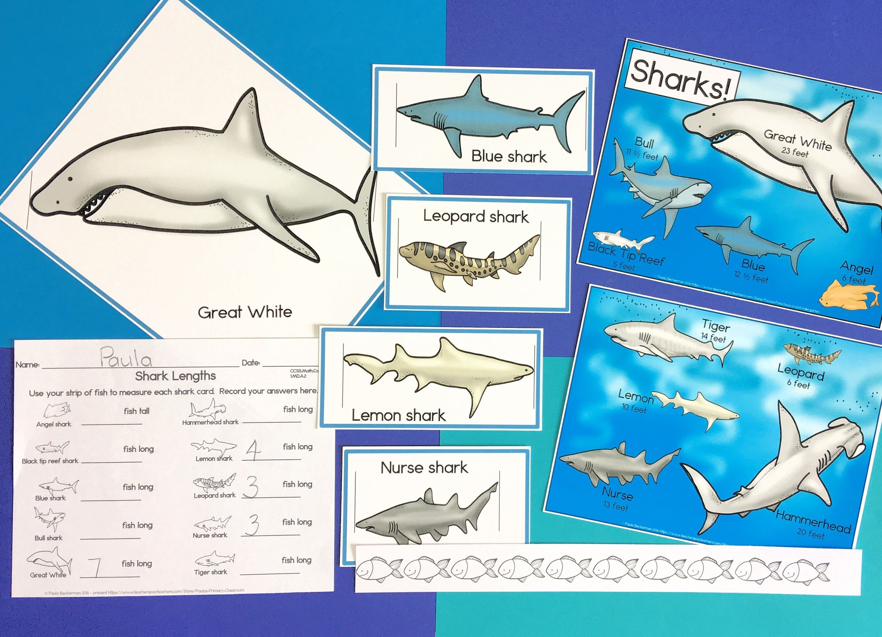 Shark Math With Measurement Graphing Addition and Subtraction - Etsy