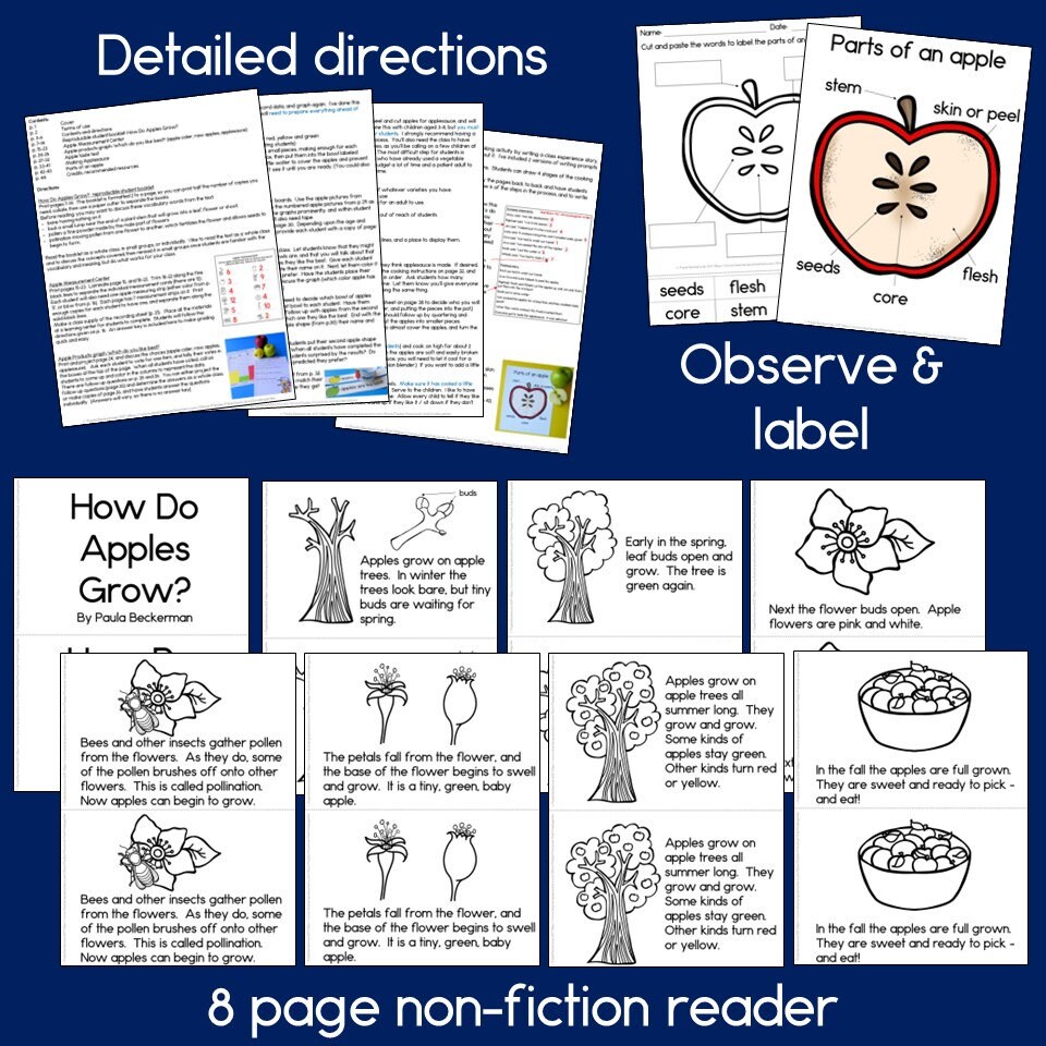 Apples | STEM Activities | Book, Measurement, Graph, Taste Test ...