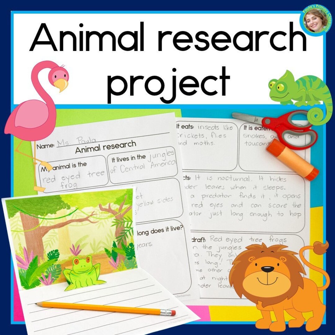 Animal Research Project With Habitat Diorama Pop up Report - Etsy