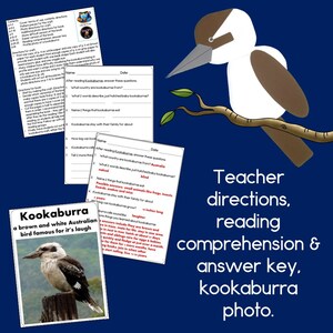 Kookaburra Book Craft and Reading Comprehension - Etsy