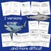 Shark Craft & Mini Book: Reading, Science, Math (digital Download) - Etsy