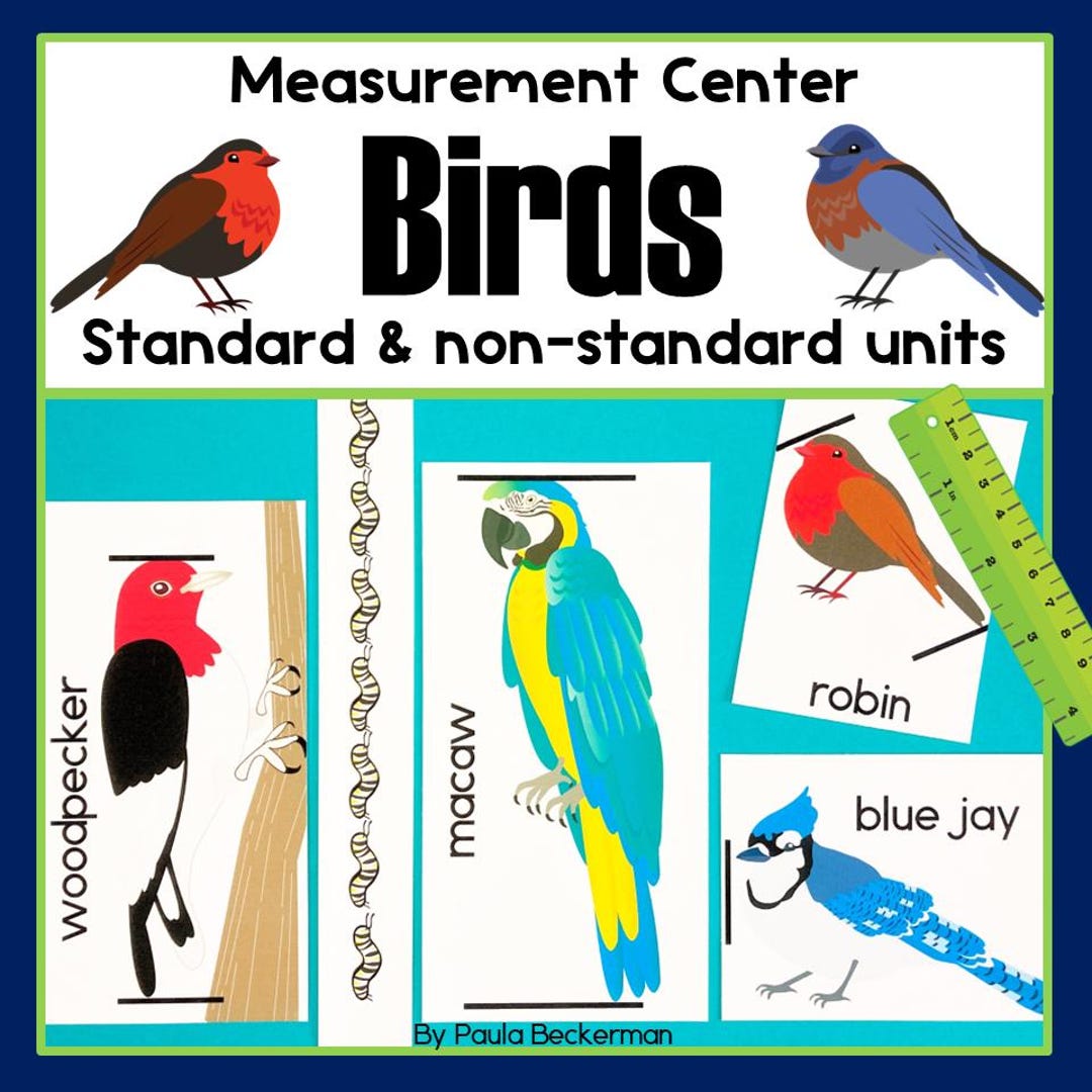 Birds Standard and Non Standard Measurement Activity & Sorting by Size ...
