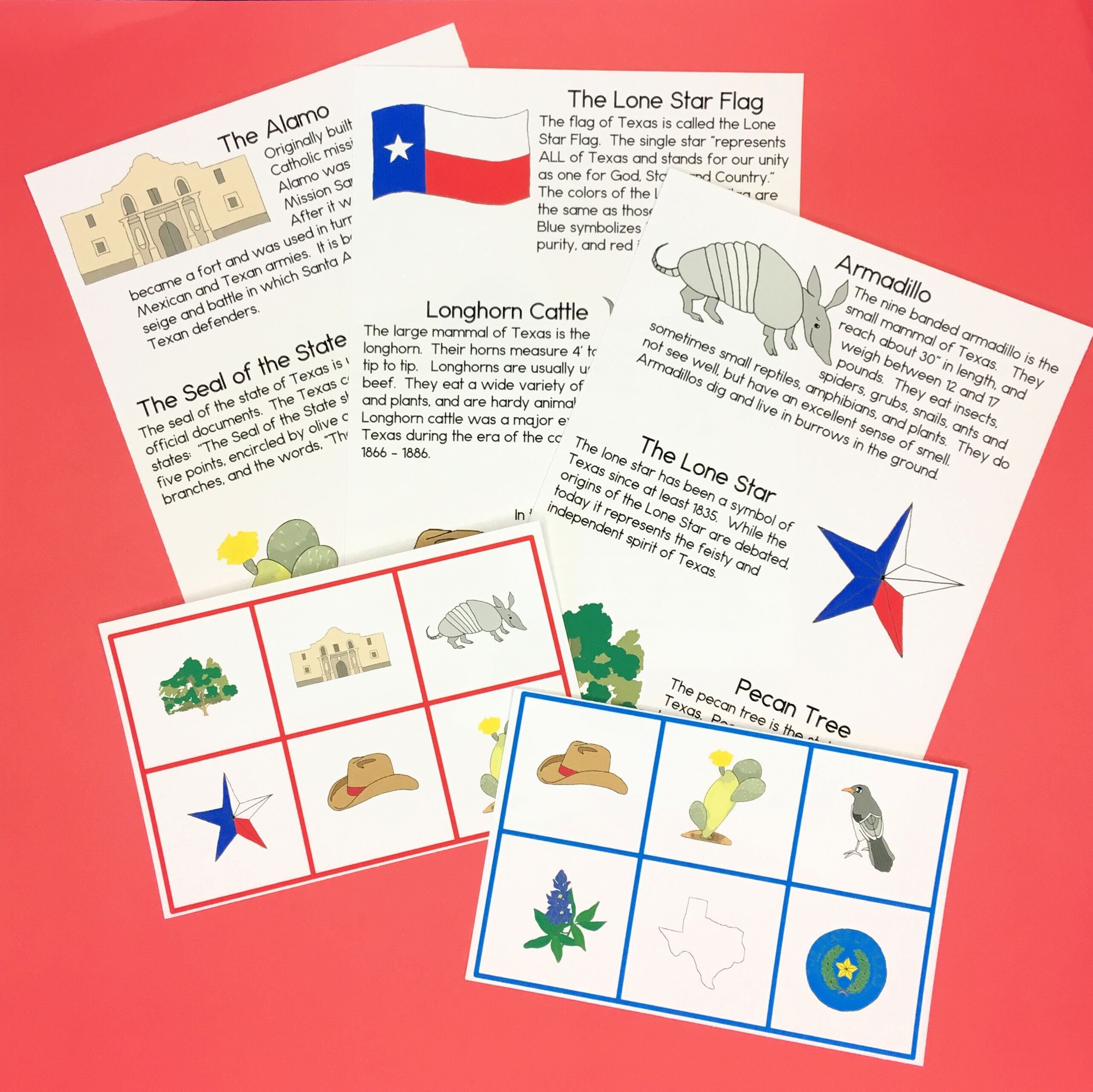 Texas State Symbols Bingo With Symbols of Texas Informational Posters ...
