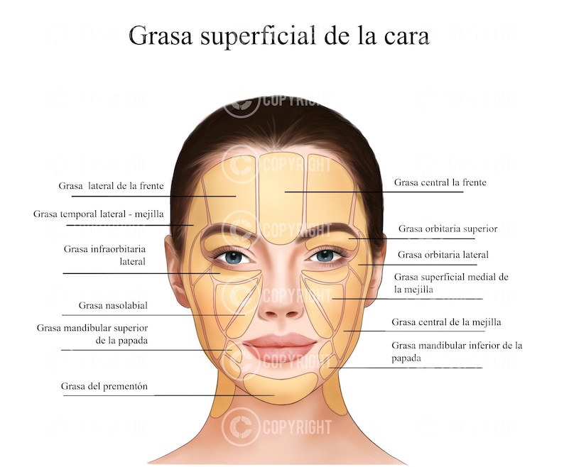 Almohadillas De Grasa Superficiales De La Cara | Botox E Inyector De ...