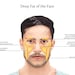 Male Facial Anatomy Bundle | Botox & Filler Injector | Anatomy ...