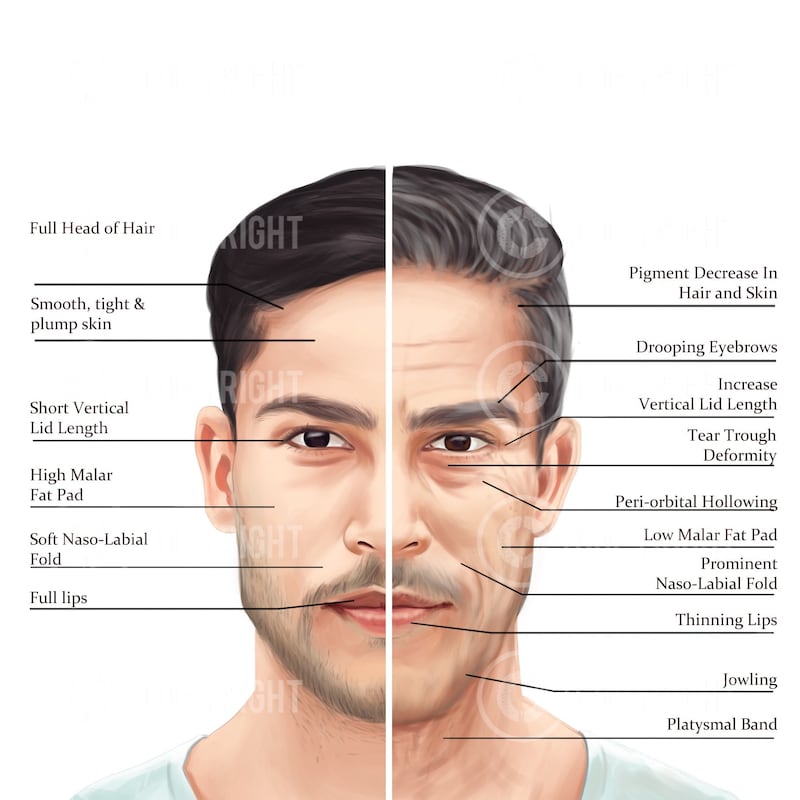 Male Face Sketch - Etsy