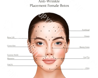 Facial Anatomy Bundle | Botox & Filler Injector | Anatomy | Esthetician ...