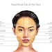 Facial Anatomy Bundle | Botox & Filler Injector | Anatomy | Esthetician ...