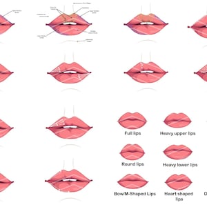Fundamental Lip Filler Injection Techniques Bundle | Lip Anatomy ...