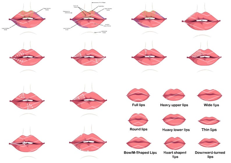 Fundamental Lip Filler Injection Techniques Bundle | Lip Anatomy ...