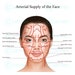 Facial Anatomy Bundle | Botox & Filler Injector | Anatomy | Esthetician ...