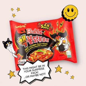 20 Surprise Ramen Food Gift Pack: Authentic Instant Noodles - Etsy