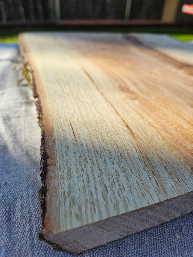 Live Edge Oak Slabs - Etsy